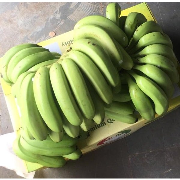 Fruits And Vegetables – Kinal Global Care Private Limited