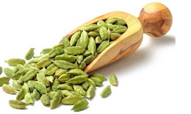Green Cardamom Exporters, Ilaichi